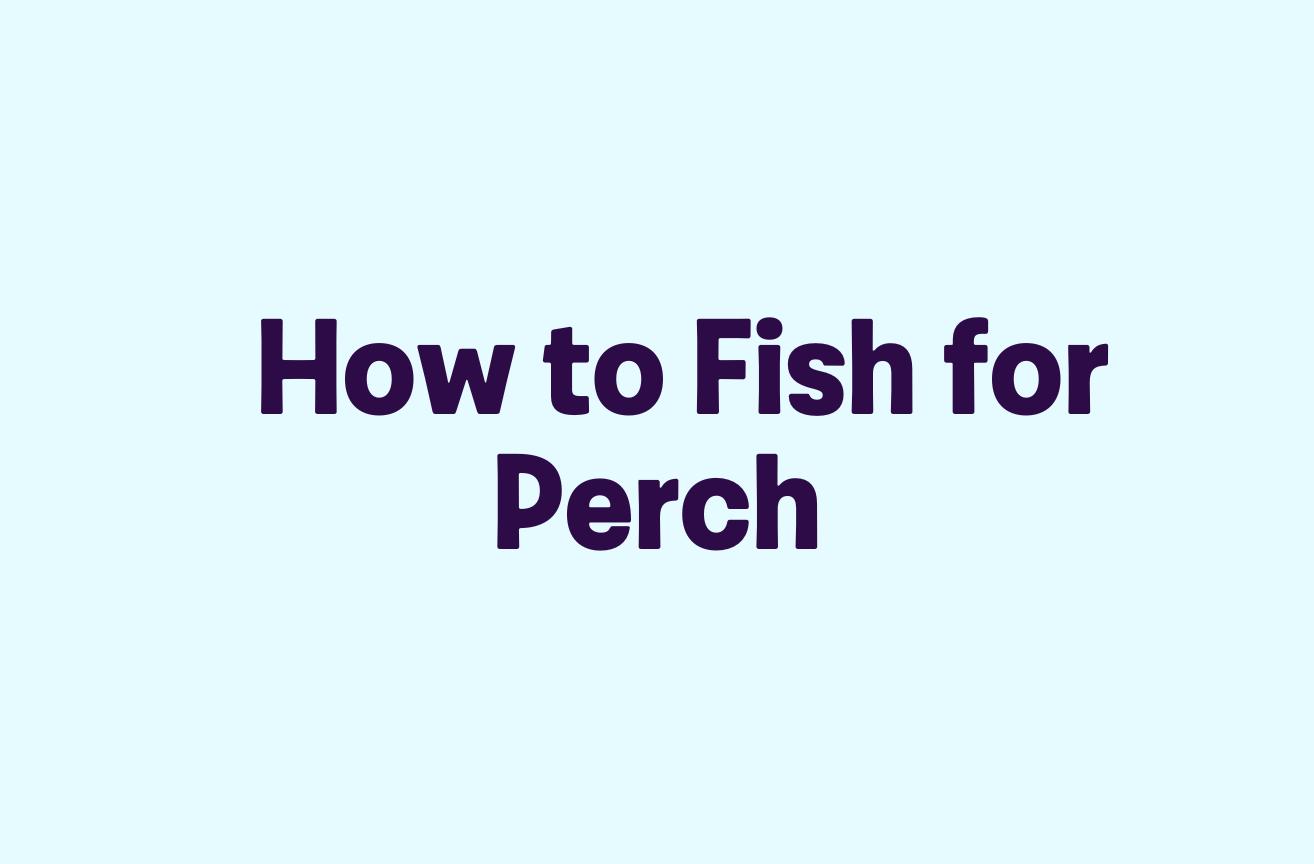 How to Fish for Perch