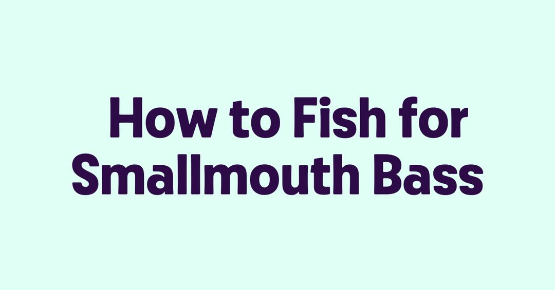 How to Fish for Smallmouth Bass