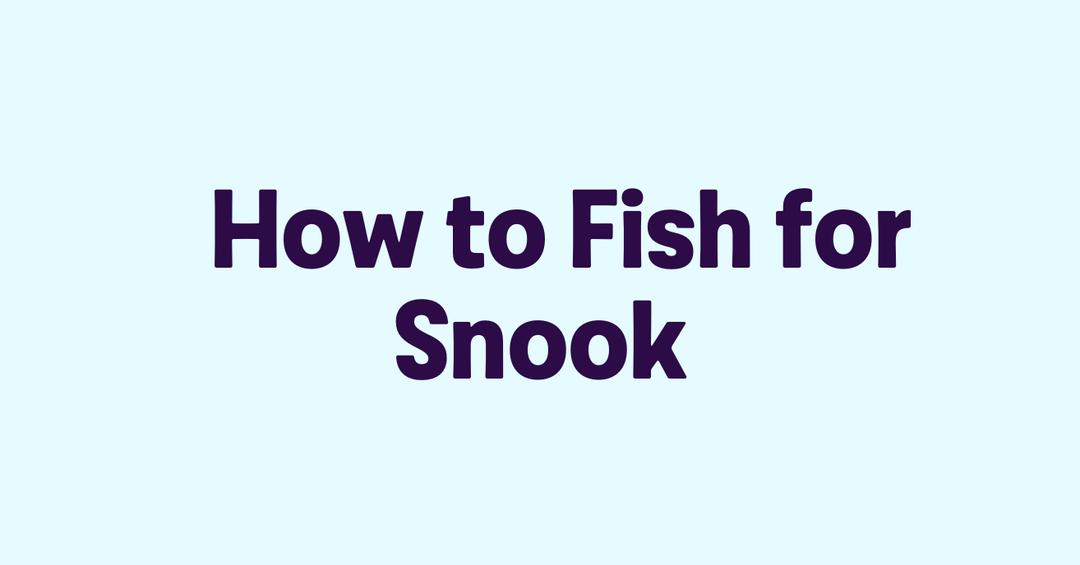 How to Fish for Snook