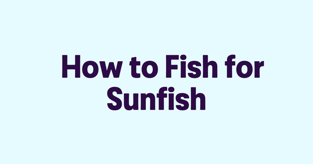 How to Fish for Sunfish