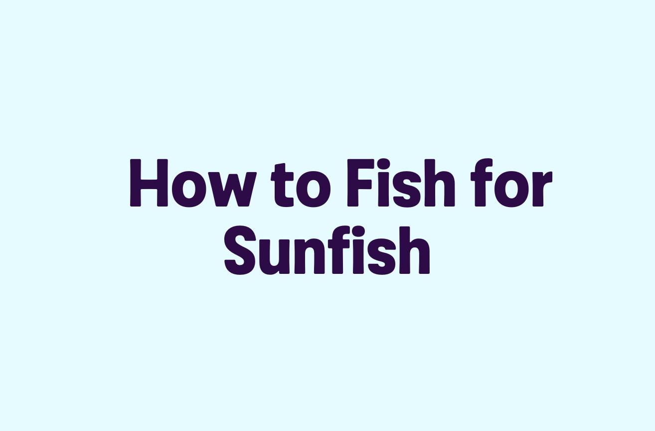 How to Fish for Sunfish