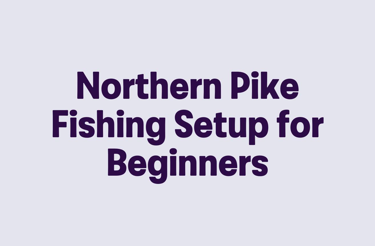 Northern Pike Fishing Setup for Beginners