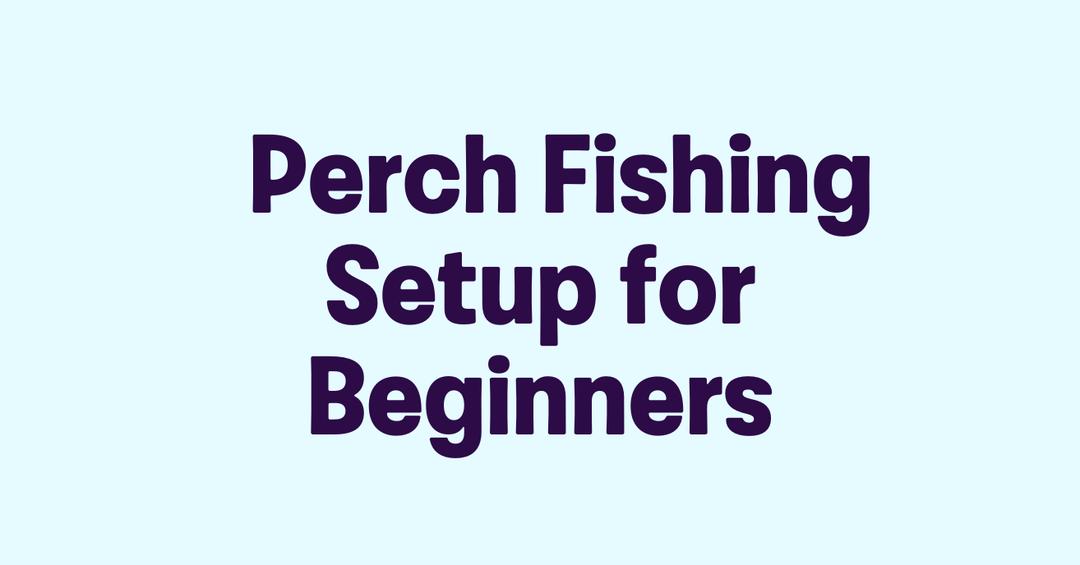 Perch Fishing Setup for Beginners