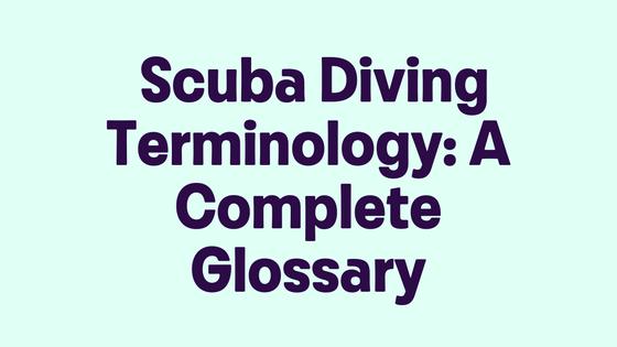 Scuba Diving Terminology: A Complete Glossary