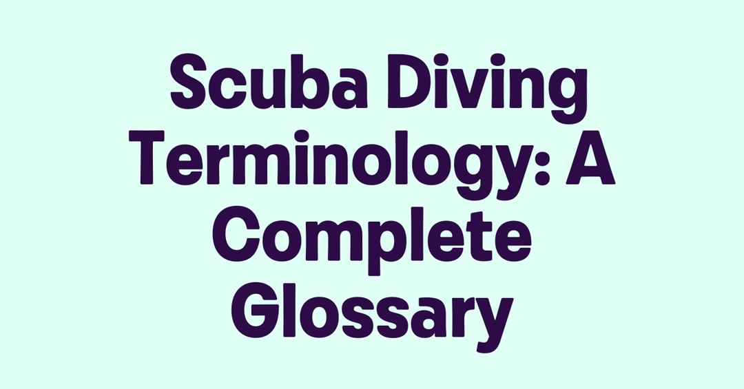 Scuba Diving Terminology: A Complete Glossary