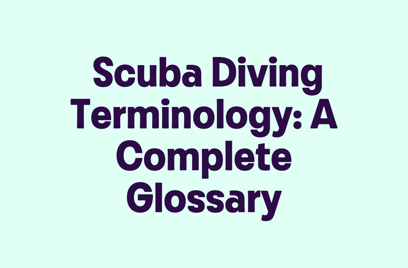 Scuba Diving Terminology: A Complete Glossary