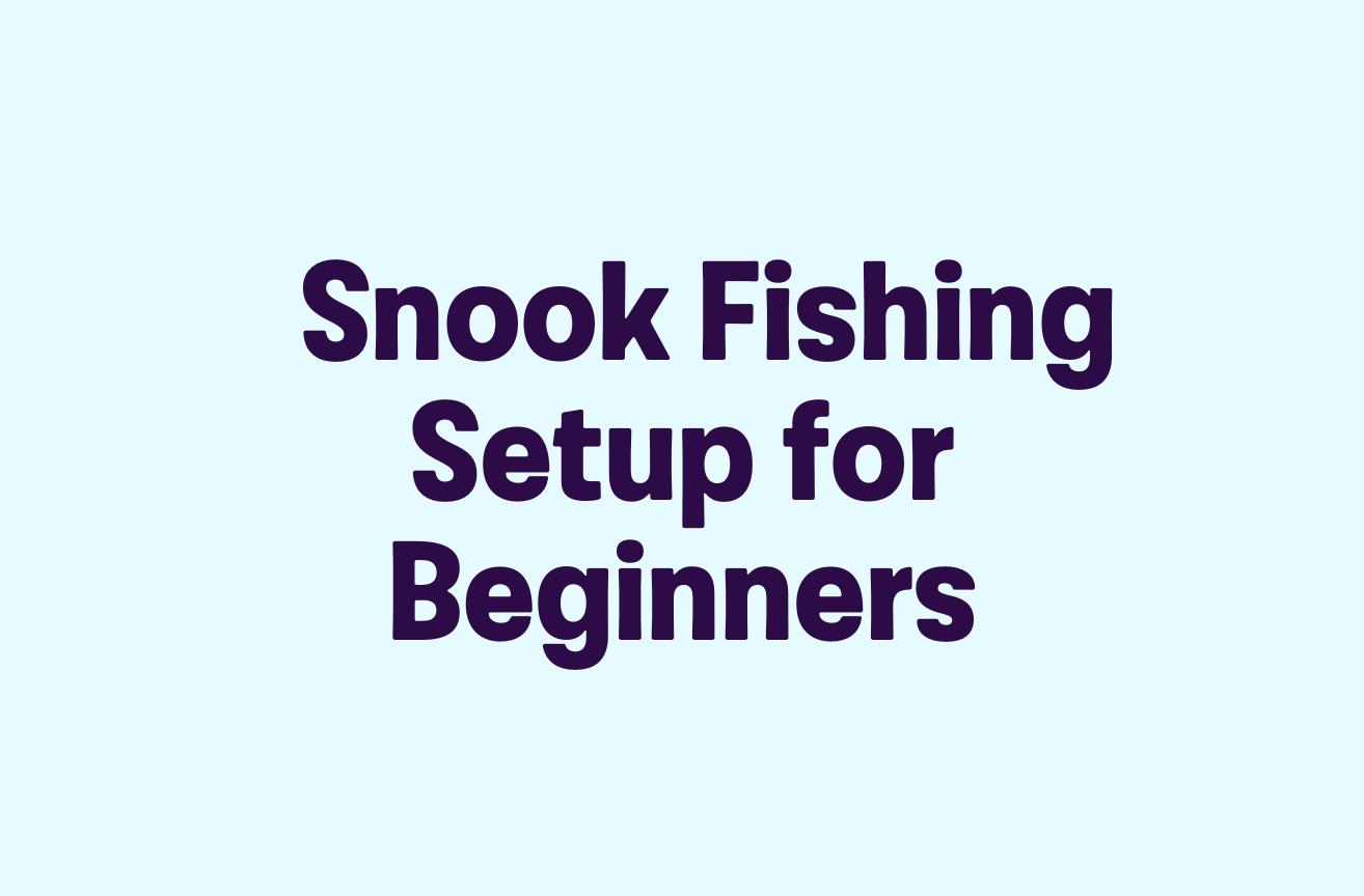 Snook Fishing Setup for Beginners