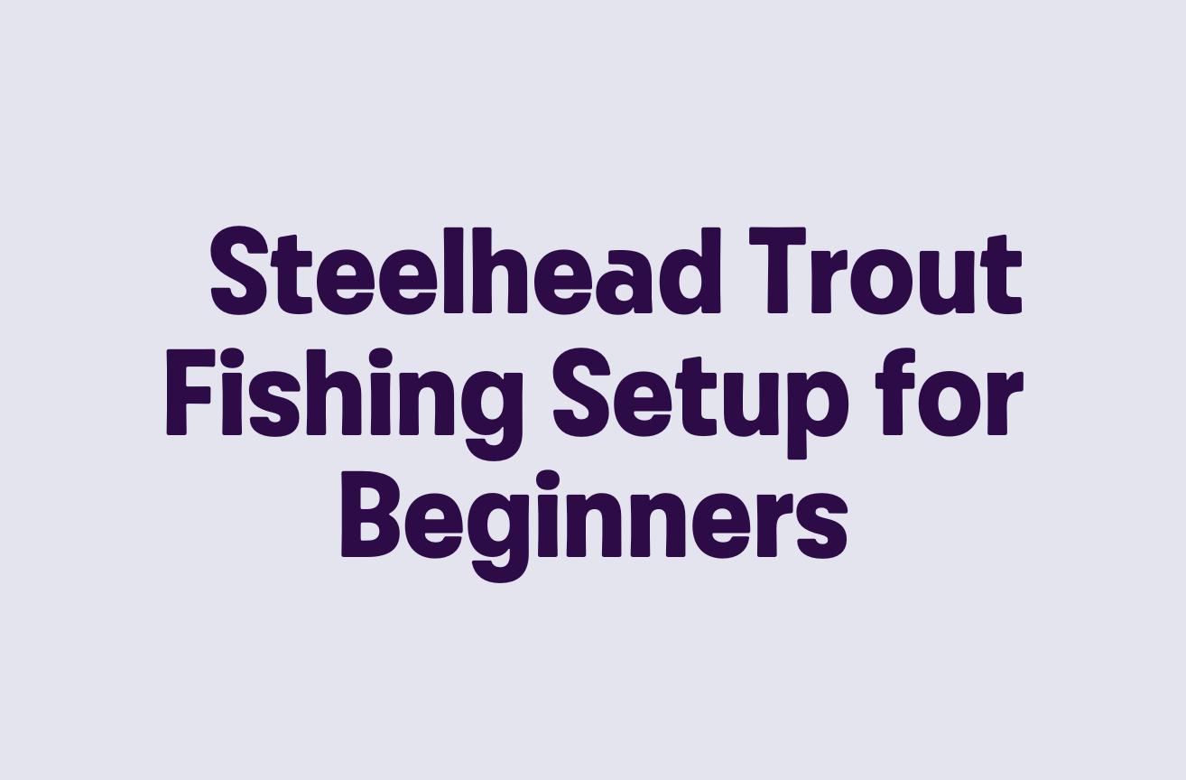 Steelhead Trout Fishing Setup for Beginners