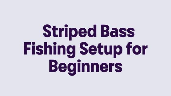 Striped Bass Fishing Setup for Beginners