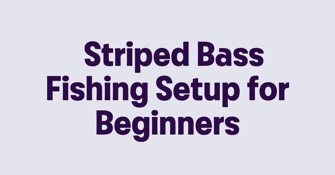 Striped Bass Fishing Setup for Beginners