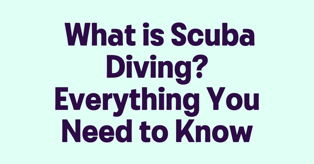 What is Scuba Diving? Everything You Need to Know