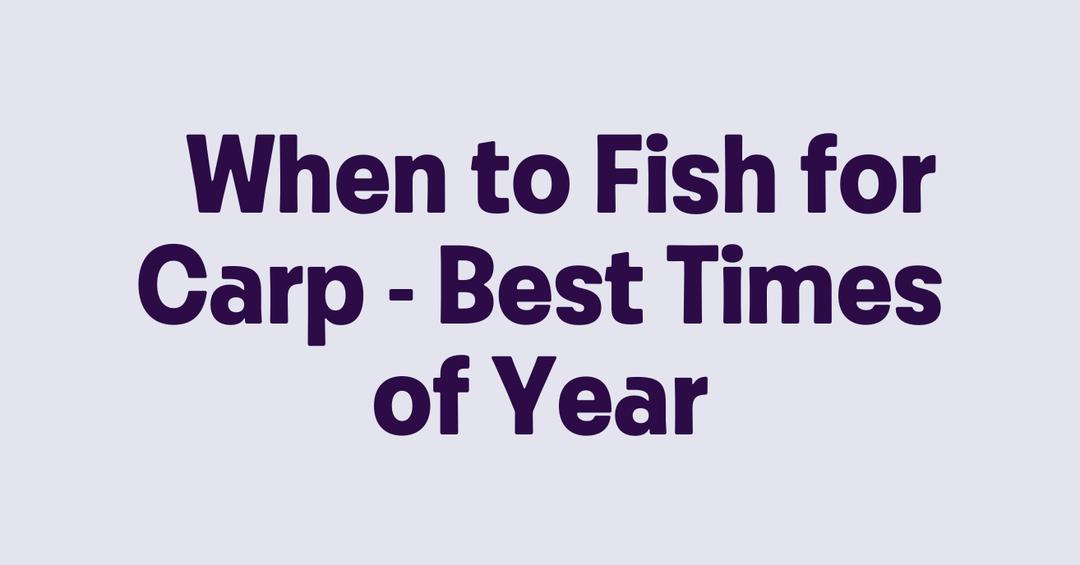 When to Fish for Carp - Best Times of Year