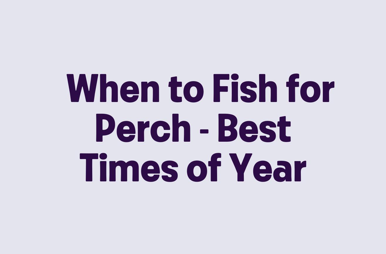 When to Fish for Perch - Best Times of Year