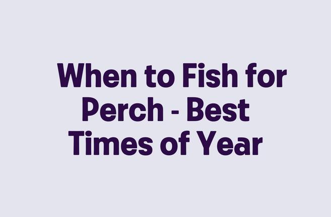 When to Fish for Perch - Best Times of Year