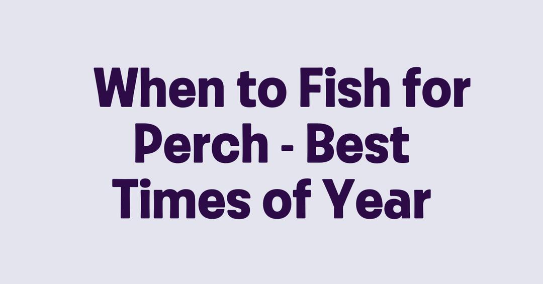 When to Fish for Perch - Best Times of Year