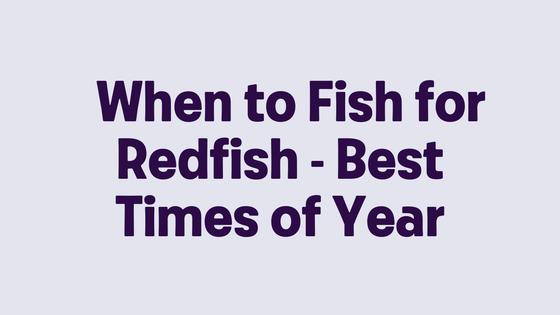 When to Fish for Redfish - Best Times of Year