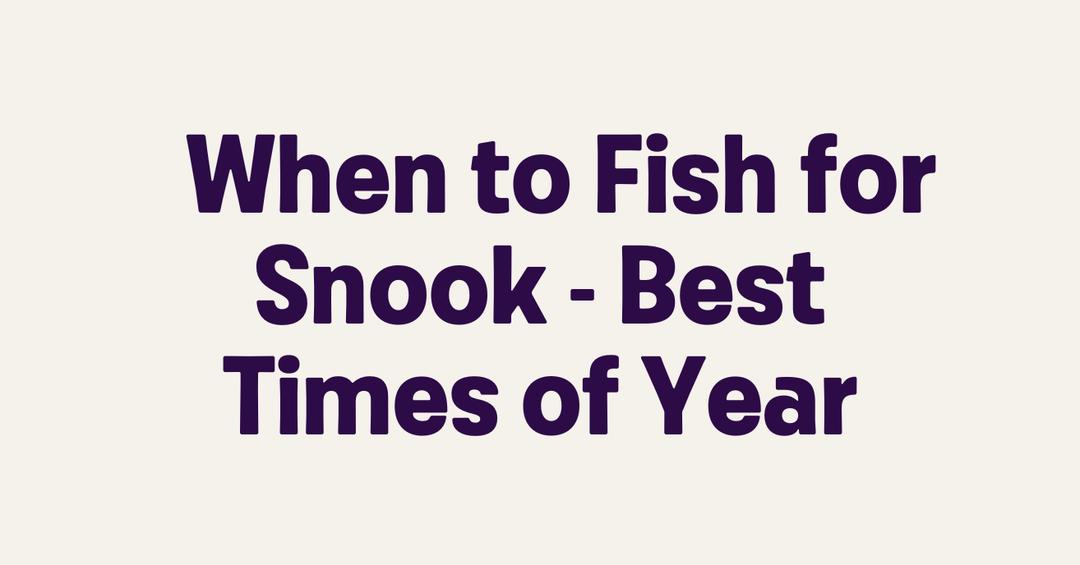 When to Fish for Snook - Best Times of Year